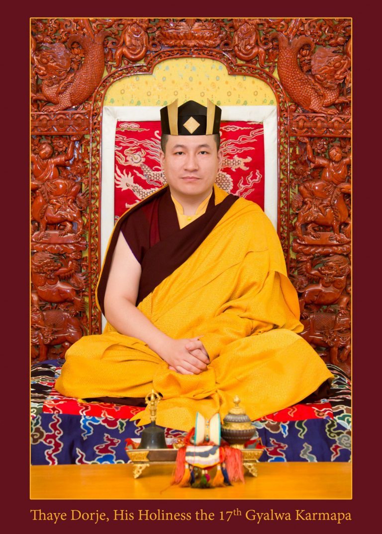 Karmapa to inaugurate 16th Karmapa’s monastery in Ladakh - The 17th ...