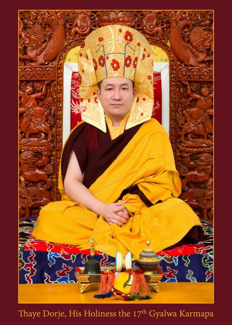 The passing of His Holiness Jigdal Dagchen Rinpoche - The 17th Karmapa ...
