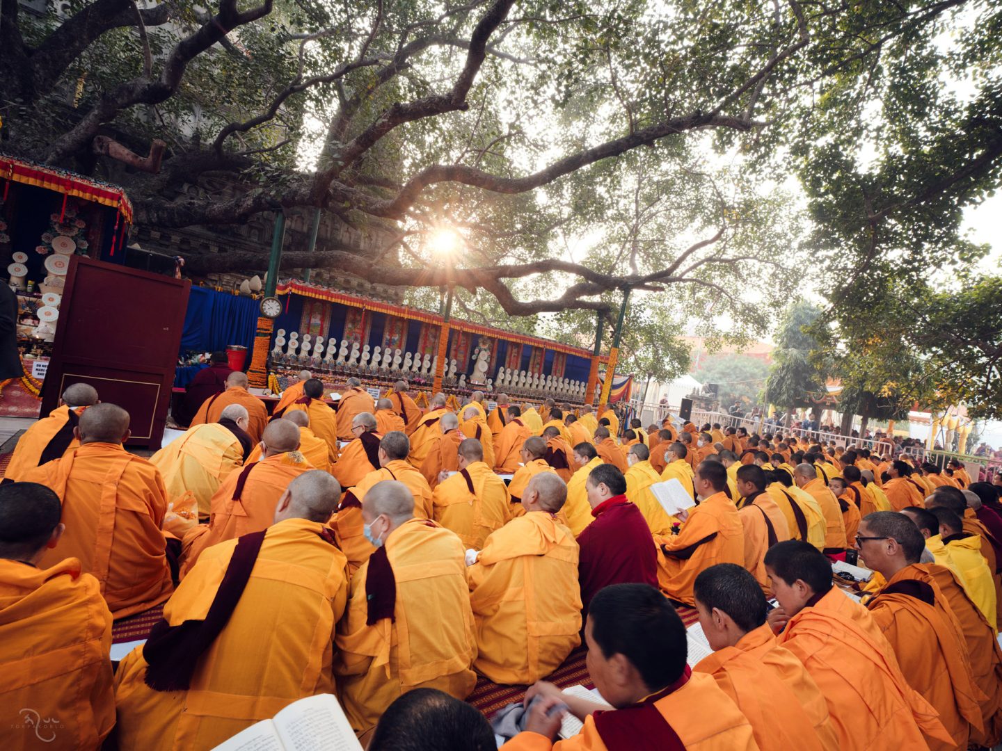 Kagyu Monlam 2025 Announcement - The 17th Karmapa: Official website of ...
